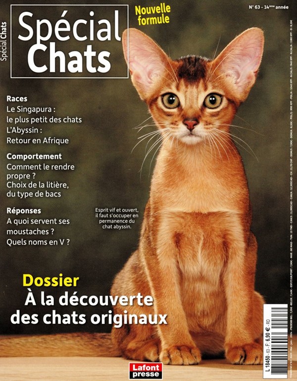 Abonnement magazine Spécial Chats | Info-Presse