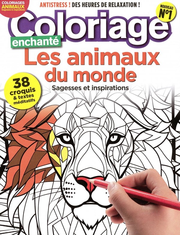 magazine Coloriage enchanté vendu au numéro